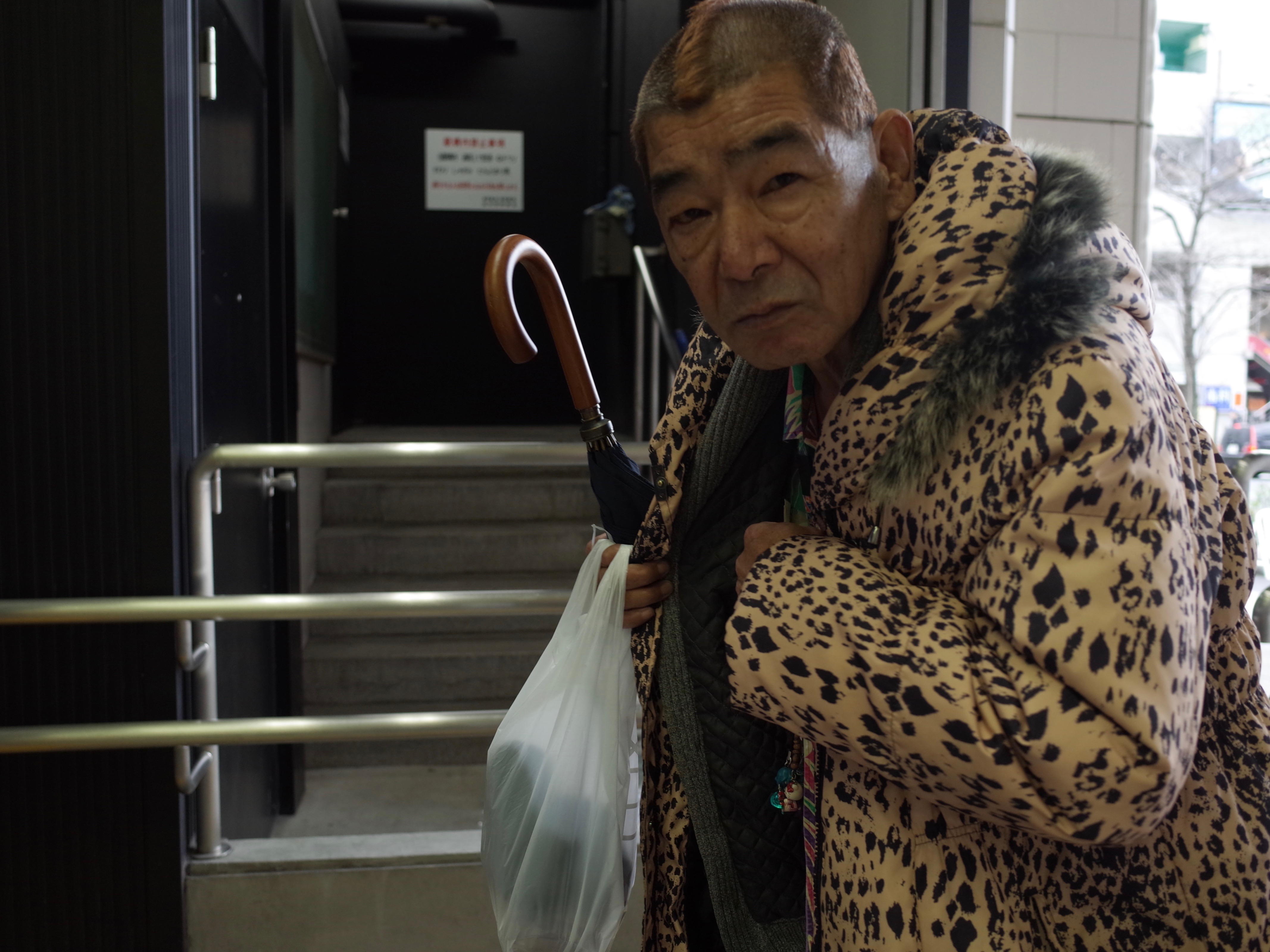 Safari Street | Ginzaline